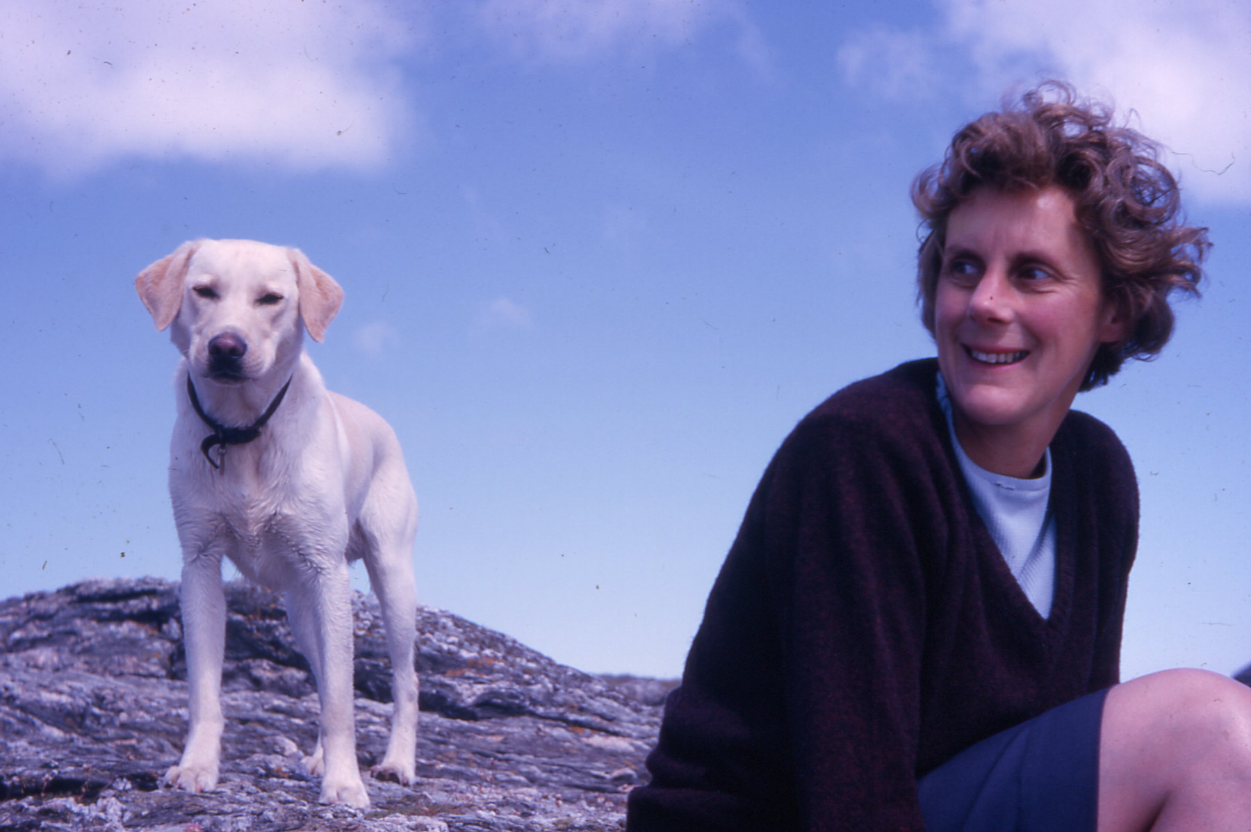 Learning from the family dog – Darwin, DNA and shared decrepitude | 59steps